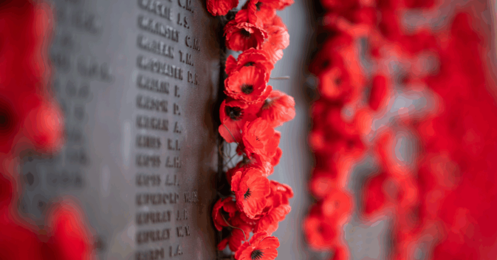 Remembrance Day: Reflections on service, sacrifice and legacy